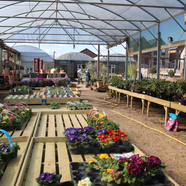 Stone Cross - UpCountry